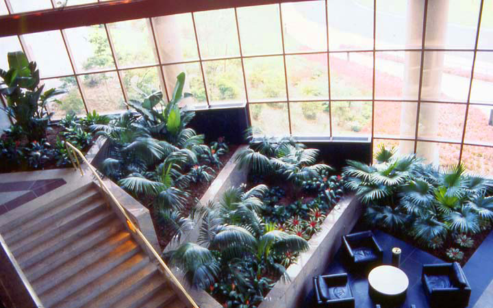 Plantscapes Fine Interior Landscaping